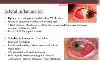 Red eye | PPTX | Eye and Vision Conditions | Diseases and Conditions
