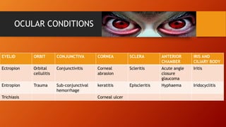Red eye | PPT