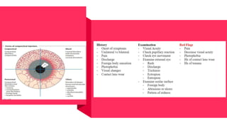 Approach to Red Eye.pptx