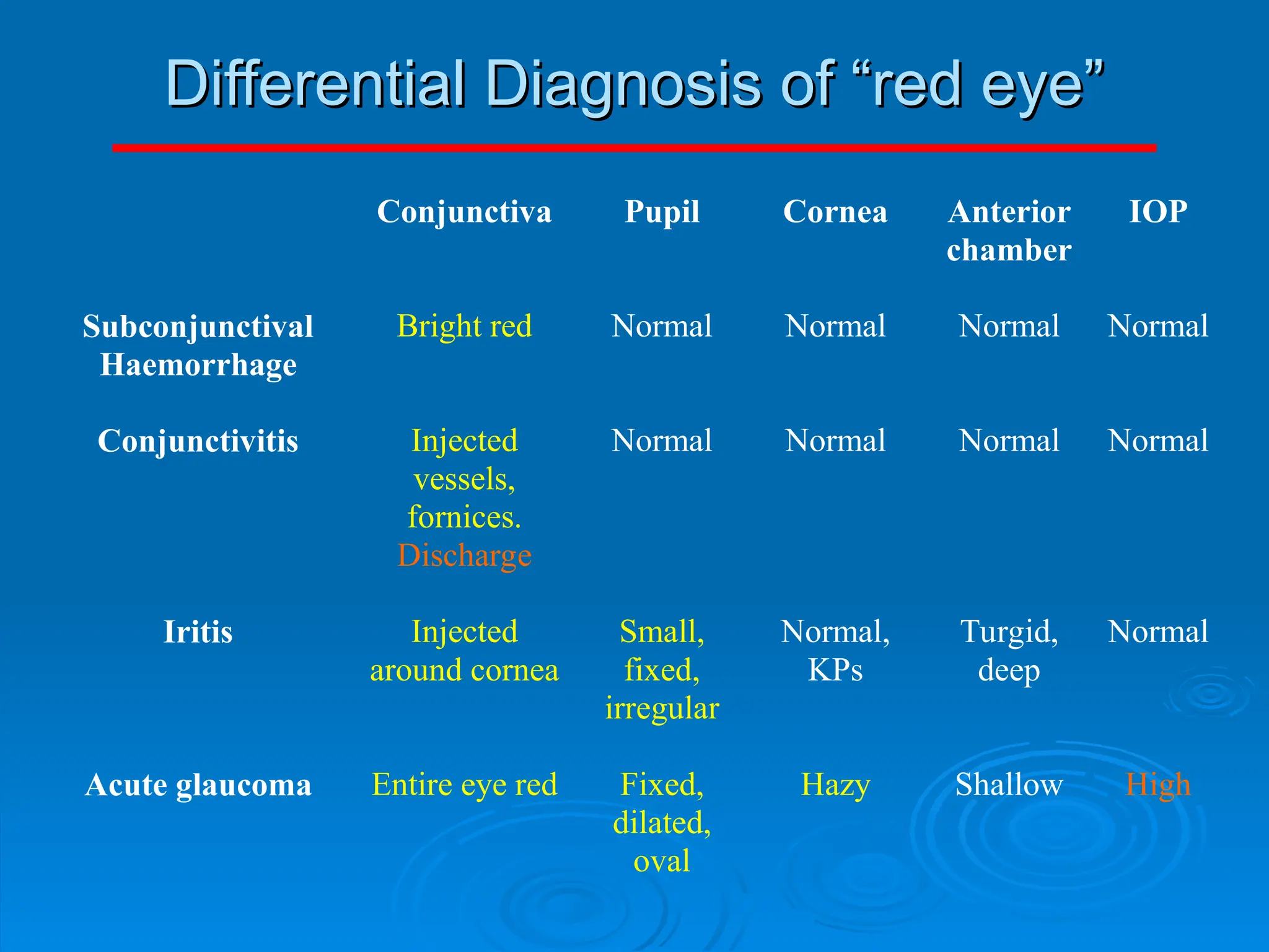 RED EYE - Copy. presentation (conjunctivitis) | PPT