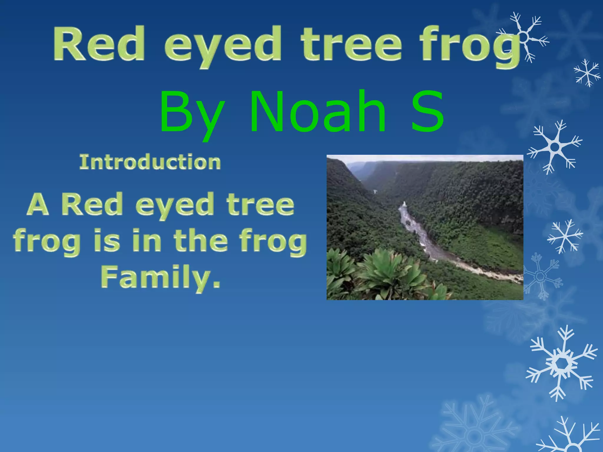 Red eyed tree frog noah s | PPTX | Reptiles | Pets