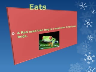 Red eyed tree frog noah s | PPTX | Reptiles | Pets