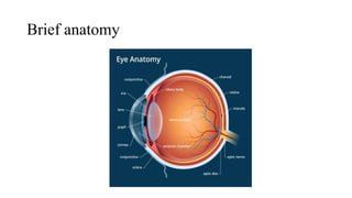 Red Eye - Common Causes, Diagnosis and Treatment.pptx