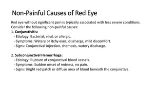 RedEyePresentation for neu team leads.pptx