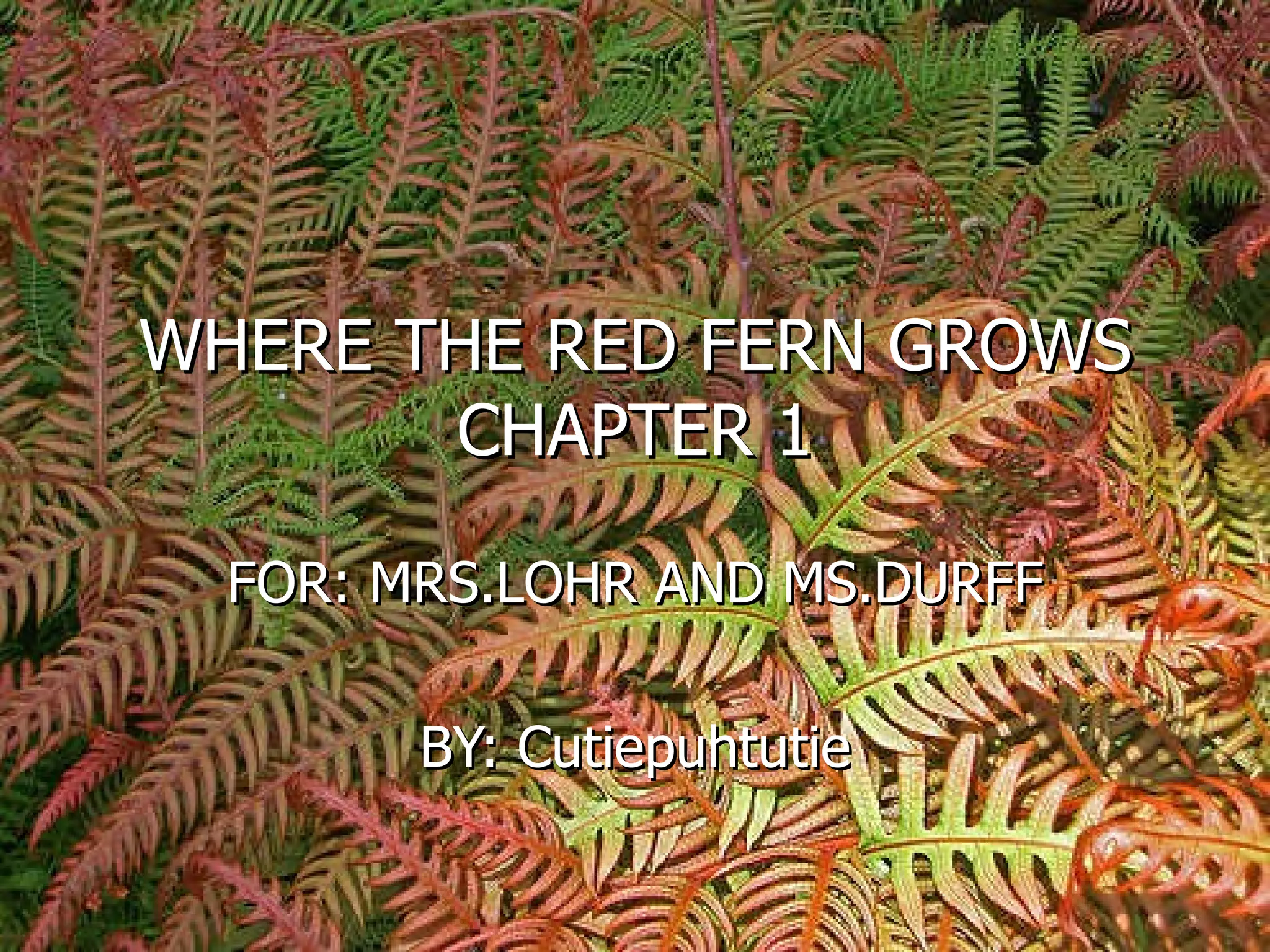 Red Fern Chapter 1 | PPT | Dogs | Pets