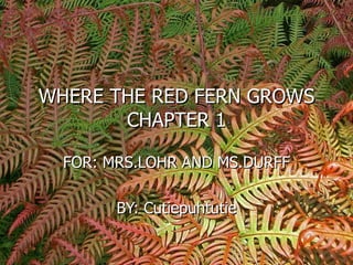 Red Fern Chapter 1 | PPT | Dogs | Pets