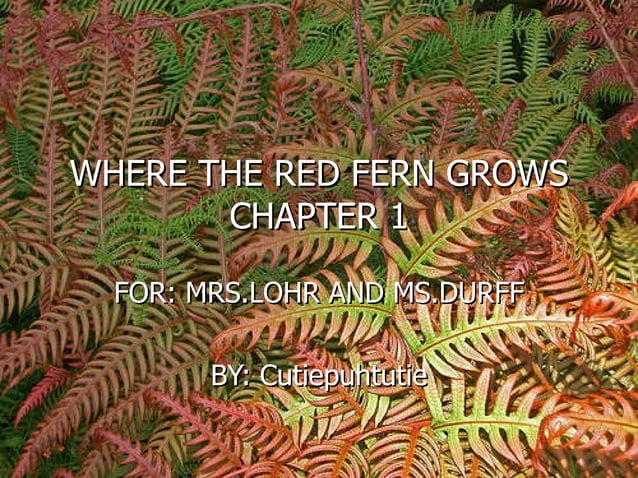 Red Fern Chapter 1 | PPT