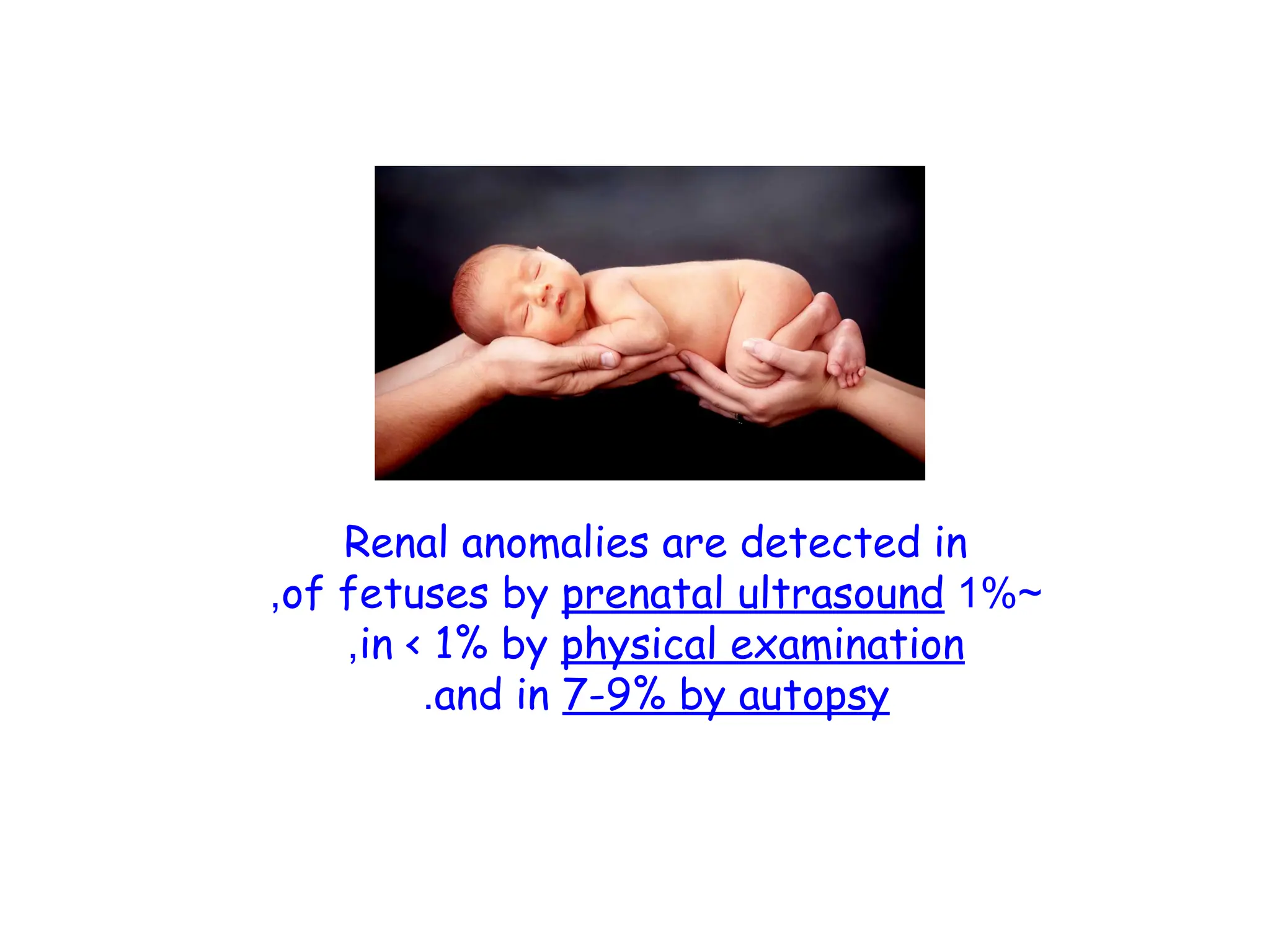red flags for neonatal renal disorders.ppt