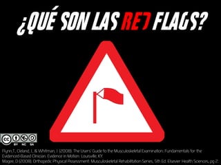 Red flags | PDF