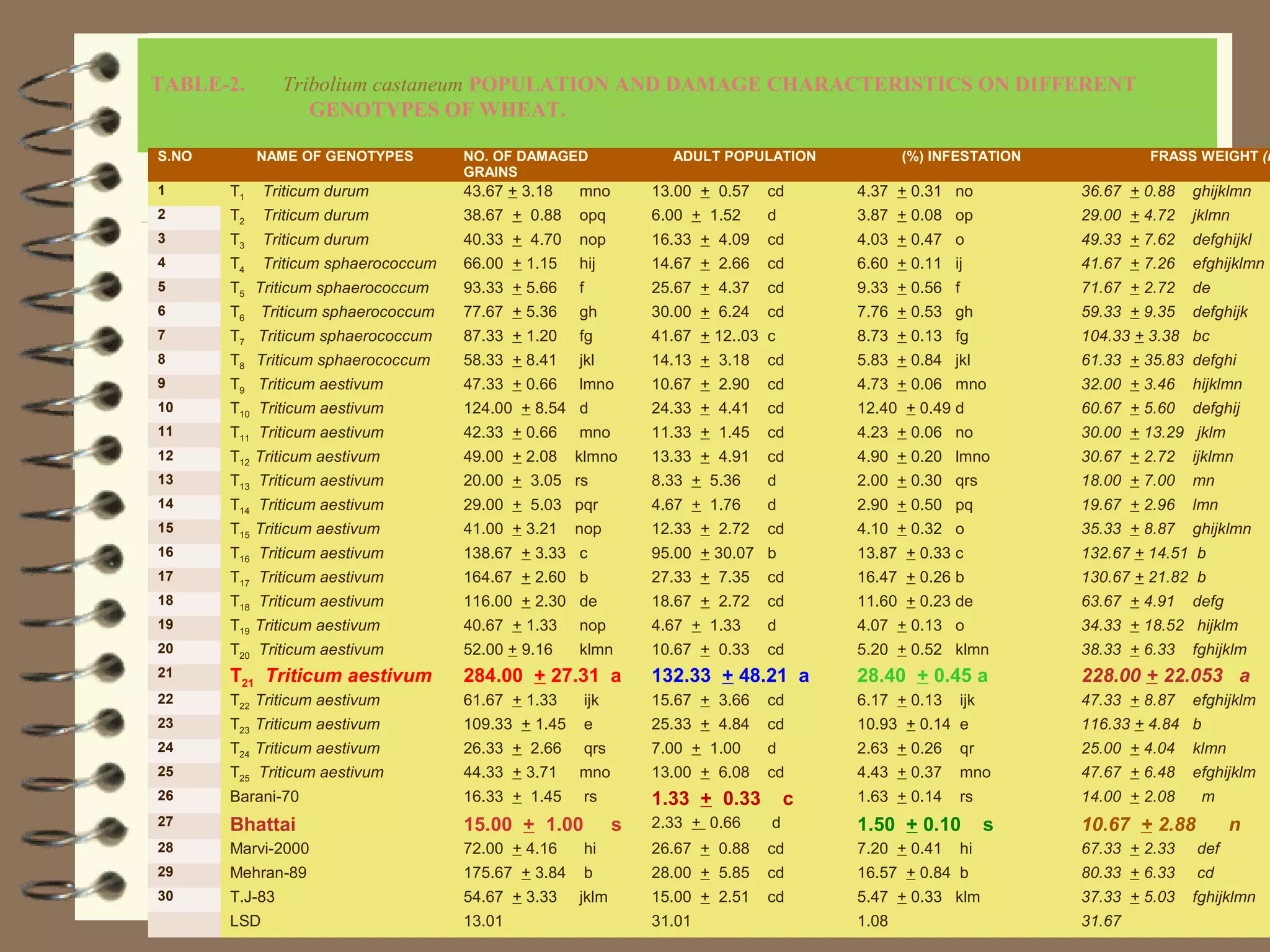 Red flour presentation | PPT