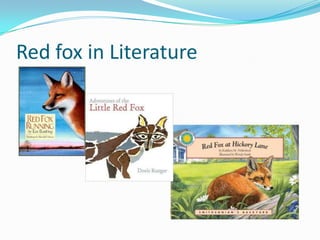 Red Fox | PPTX