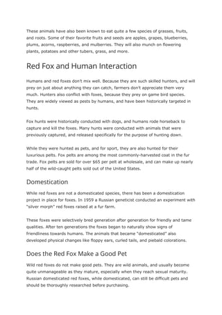 Red fox | PDF