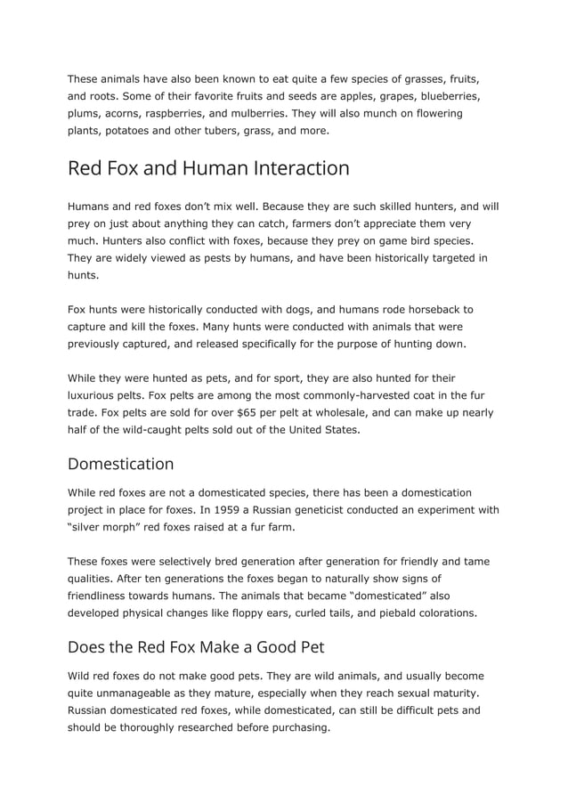 Red fox | PDF