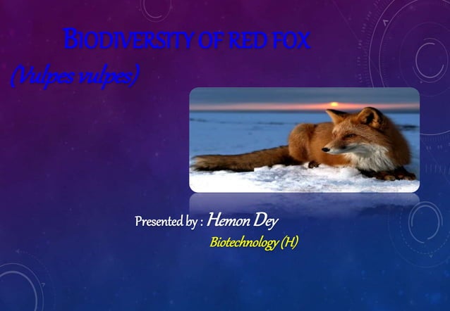 Biodiversity of Red Fox | PPT