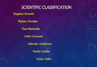 Biodiversity of Red Fox | PPT