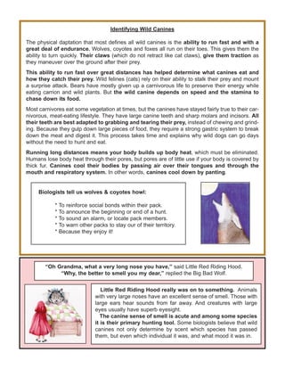 Red Fox and Gray Fox | PDF