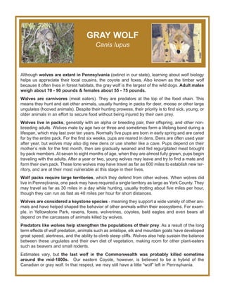 Red Fox and Gray Fox | PDF