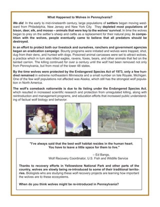 Red Fox and Gray Fox | PDF