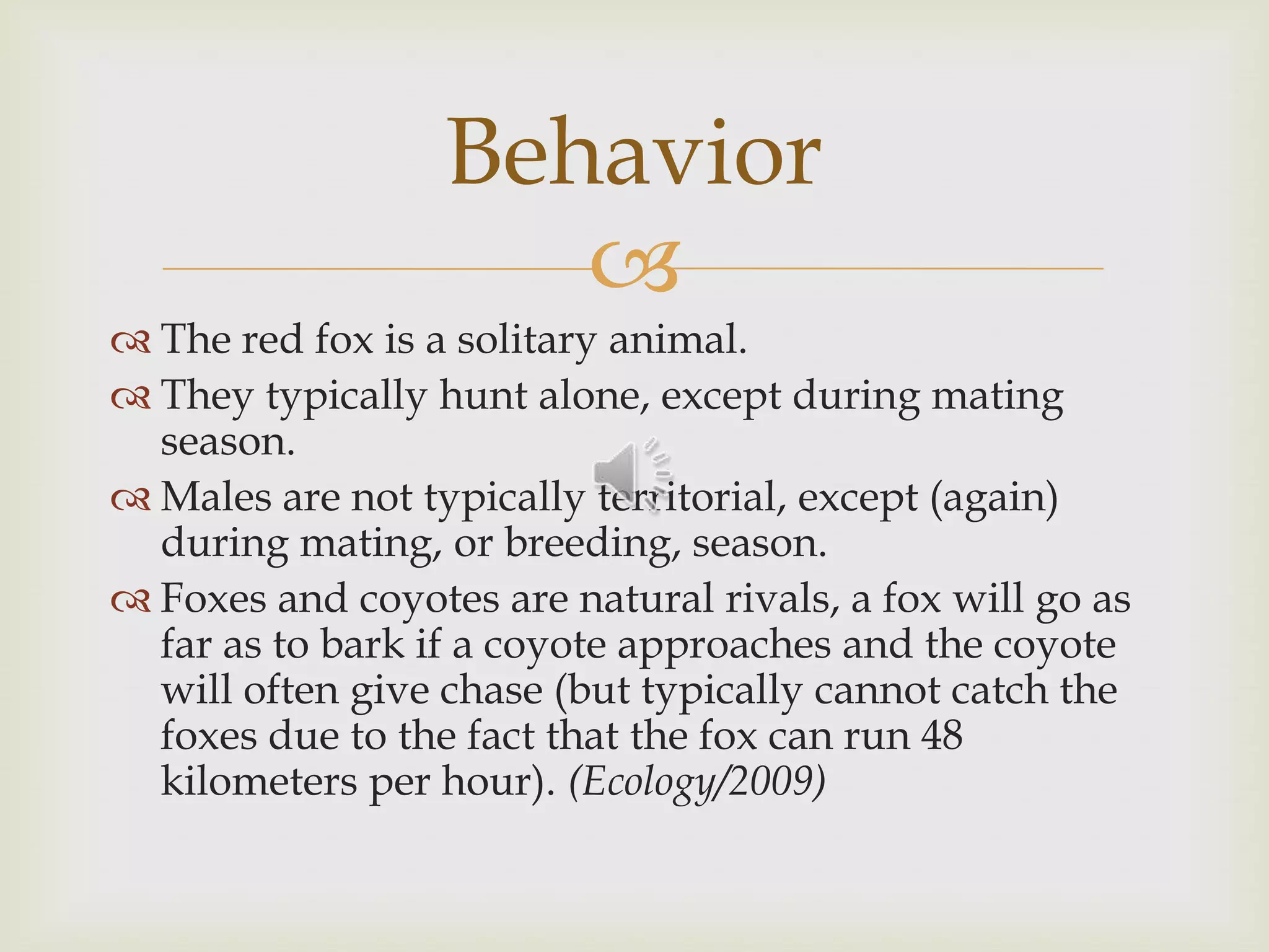 Red fox presentation | PPTX