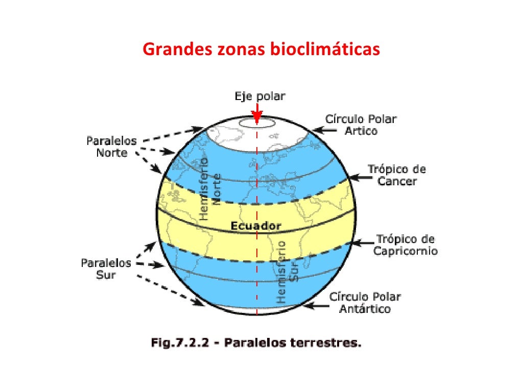 O Que é Rede Geografica - RETOEDU