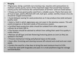 Redgram SEED PRODUCTION | PPTX