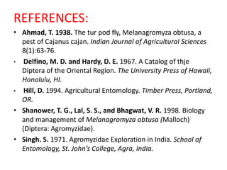 Red gram podfly | PPTX