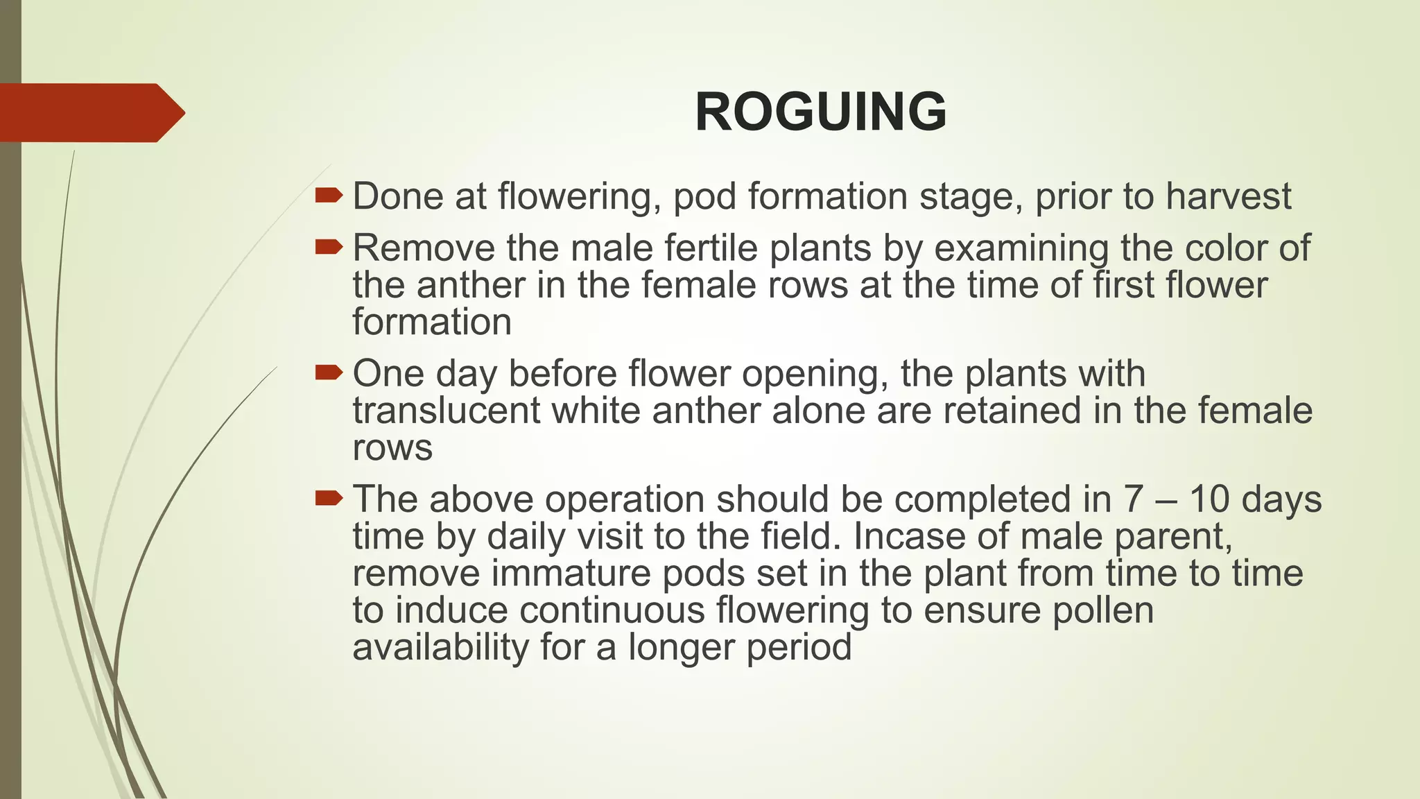 Redgram ppt | PPTX