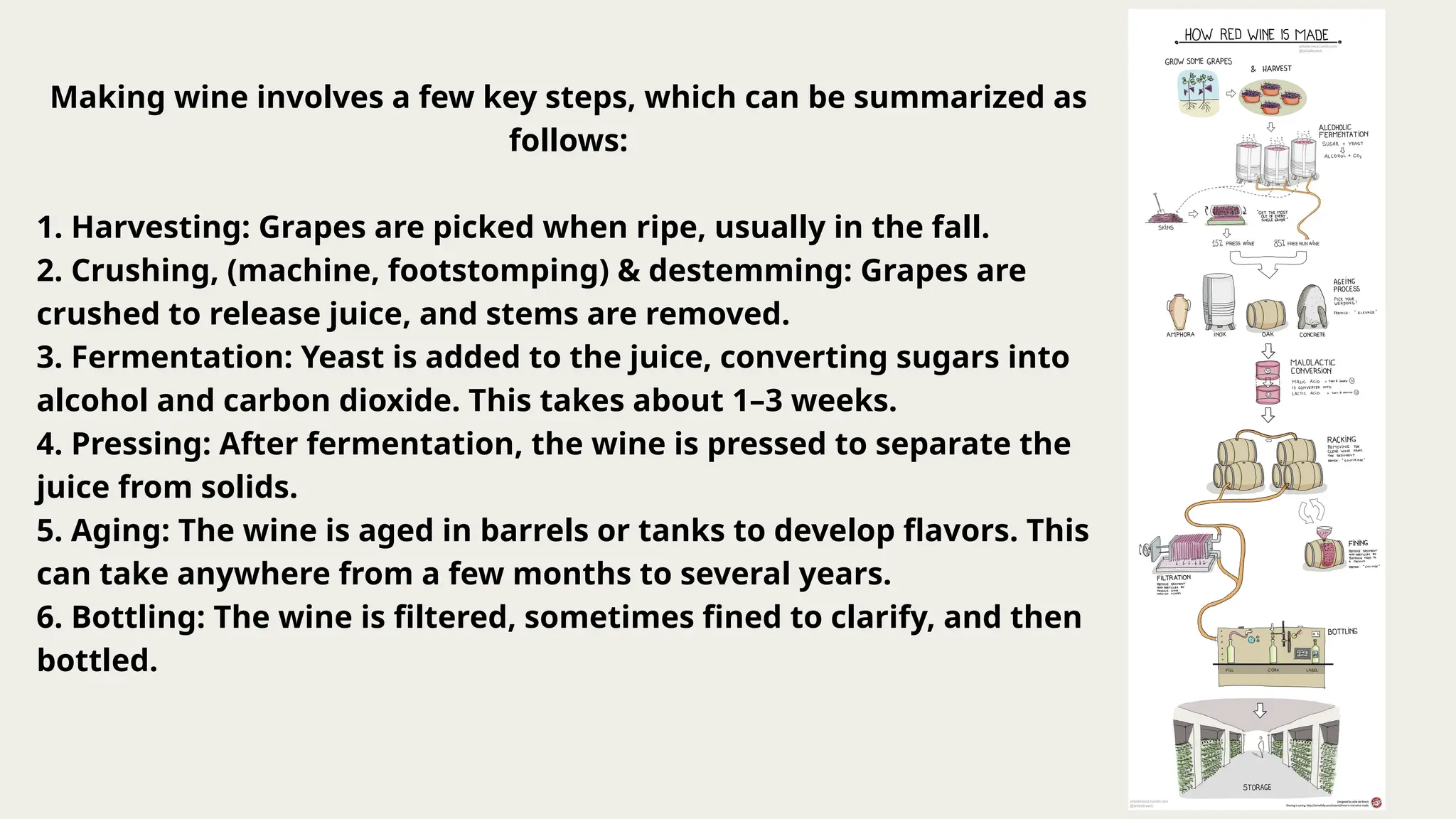 RED GRAPES ABOUT WINE ALL PVER THE WORLD | PPTX