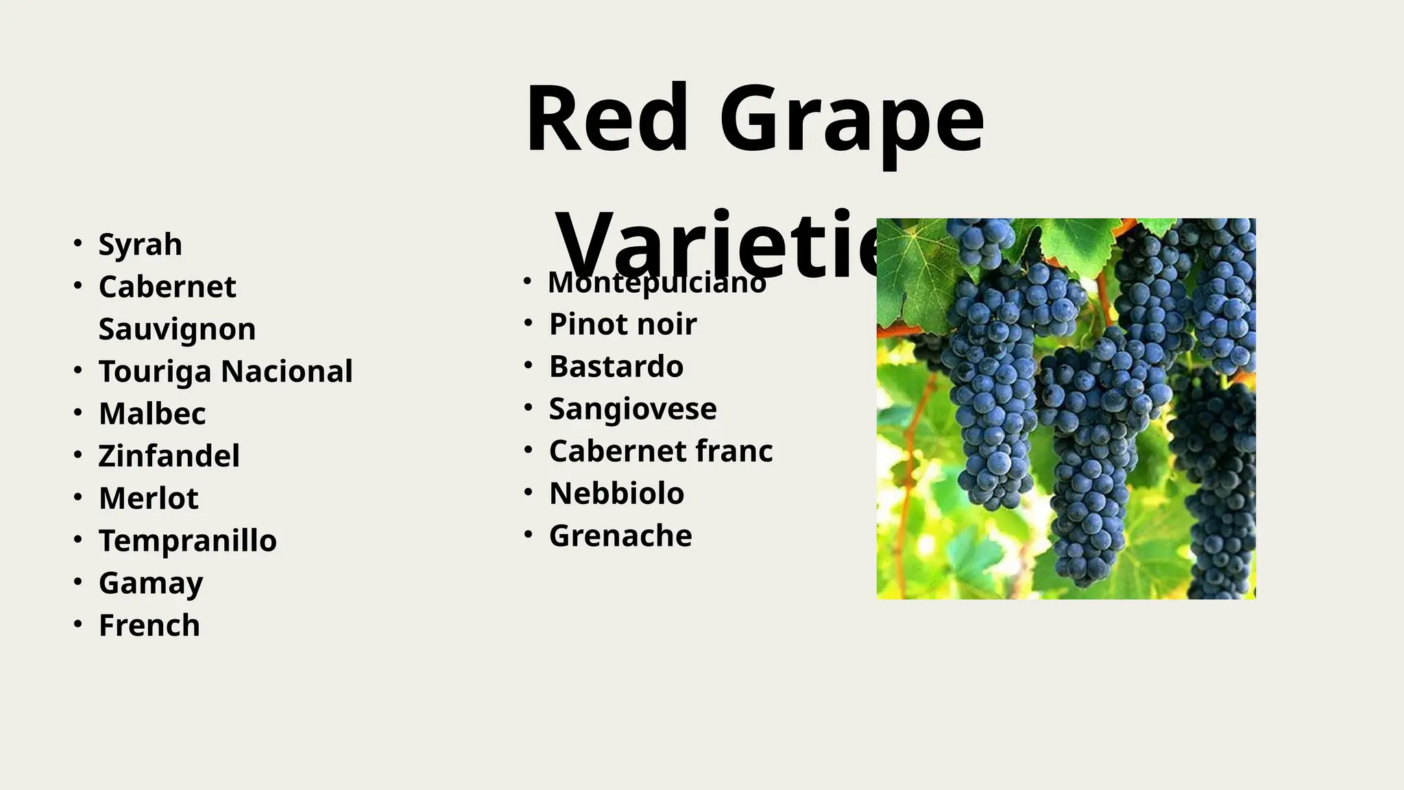 RED GRAPES ABOUT WINE ALL PVER THE WORLD | PPTX