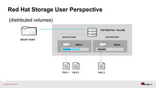 Red Hat Storage Server For AWS | PPT