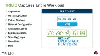 Trilio for Red Hat OpenStack: The Missing Link for Cloud-Native Data ...