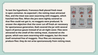 redi experiment.pptxcgrfsymfgghdmfxtydhjdz | PPT