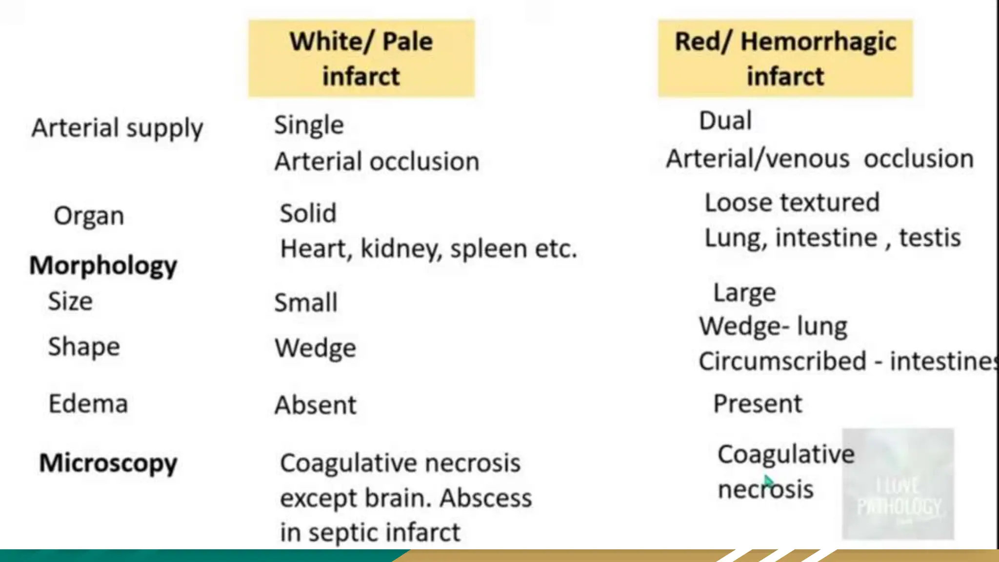 RED INFARCTS powerpoint presentation basics | PPTX