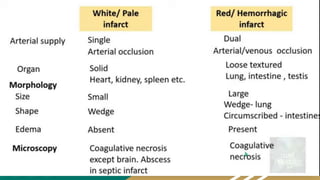 RED INFARCTS powerpoint presentation basics | PPTX