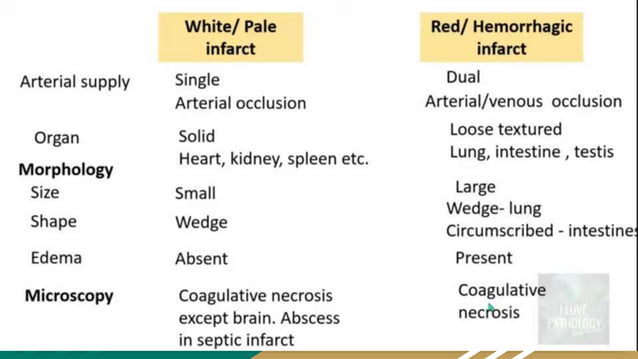 RED INFARCTS powerpoint presentation basics | PPT | Free Download