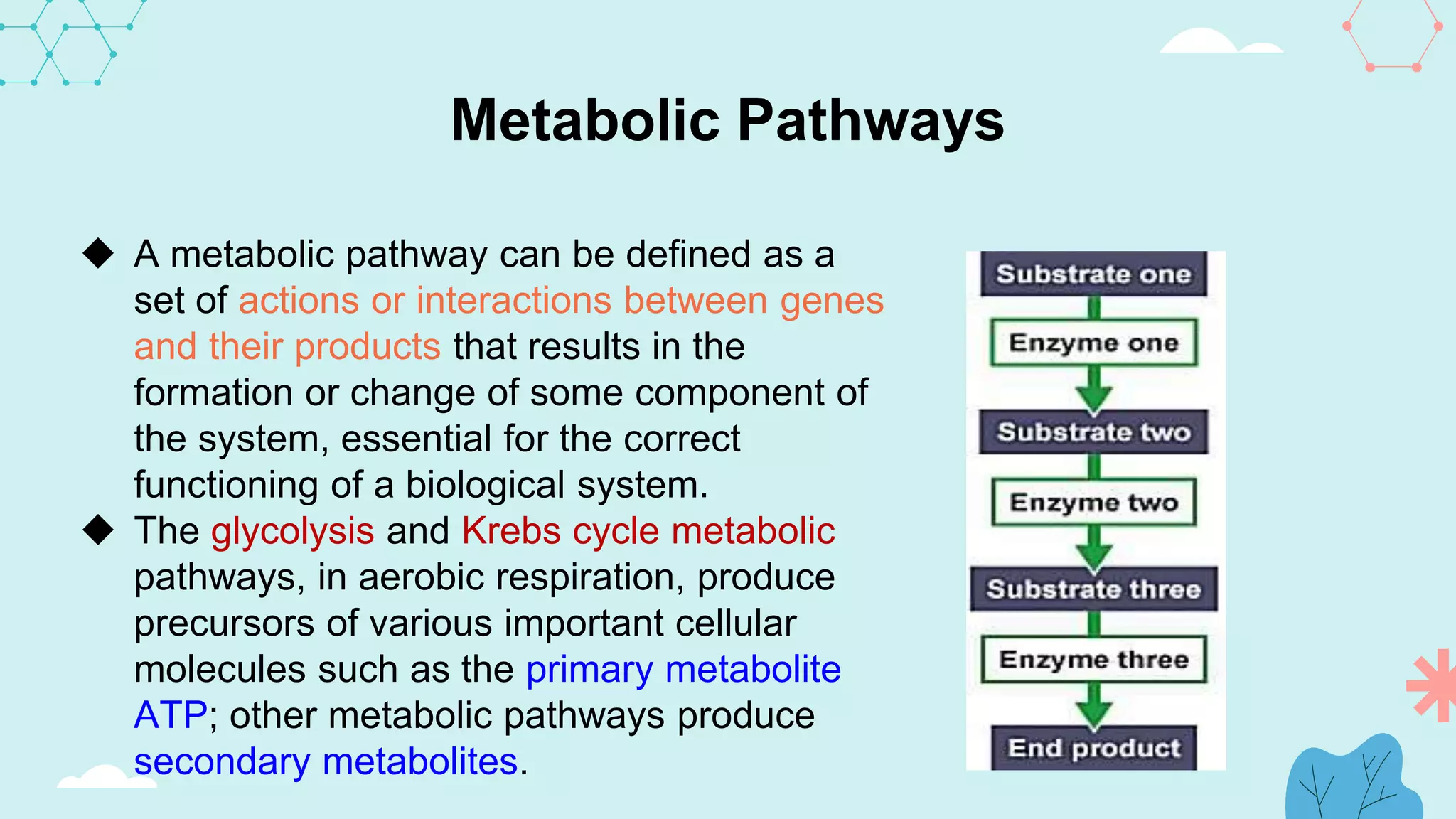 REDIRECTING METABOLIC PATHWAYS IN BACTERIA.pptx