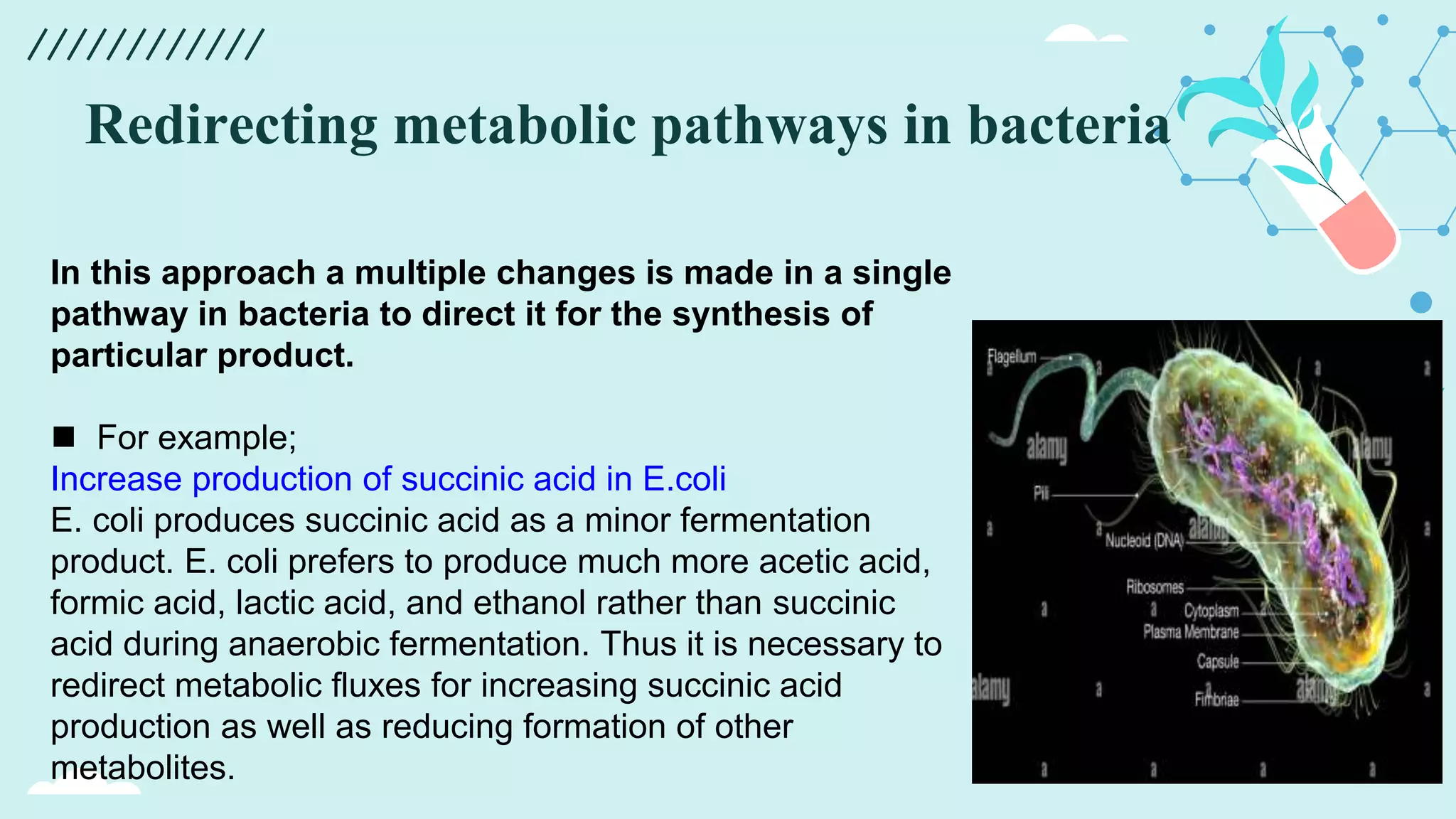 REDIRECTING METABOLIC PATHWAYS IN BACTERIA.pptx