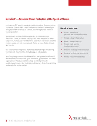 Red lambda Brochure Meta Grid Executive Overview | PDF