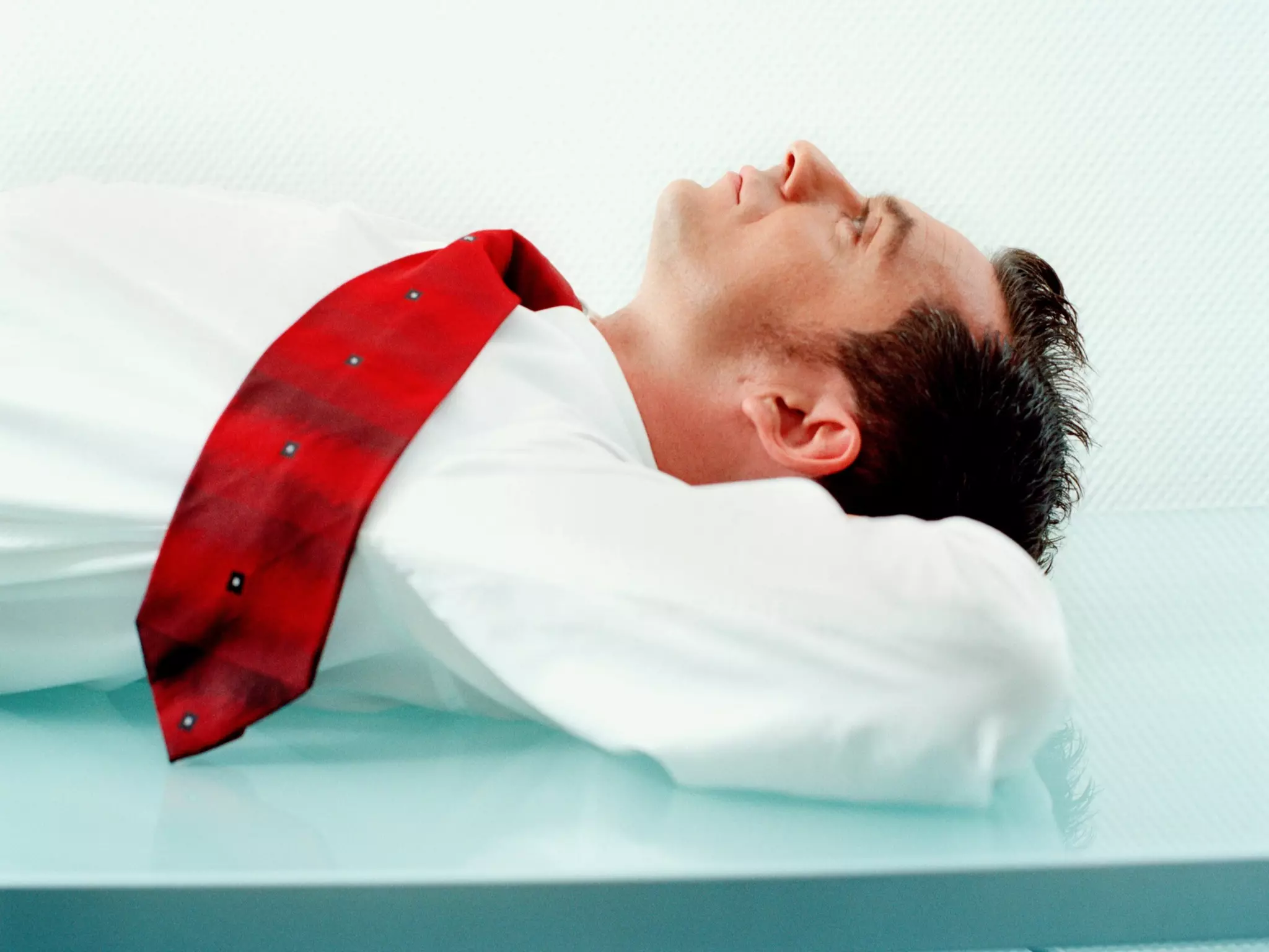 RedLine Software introduction | PPT