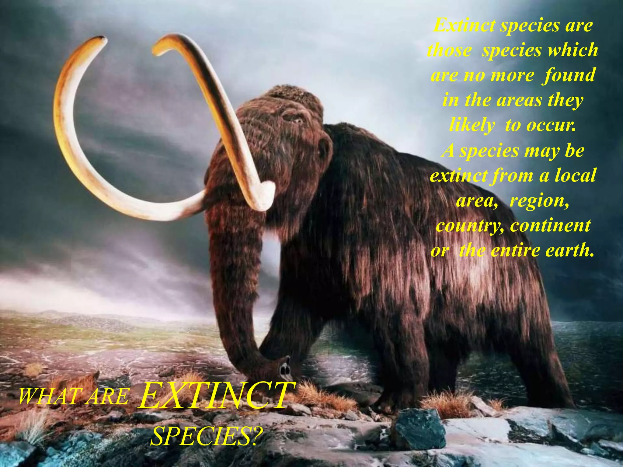 Red list categories | PPTX