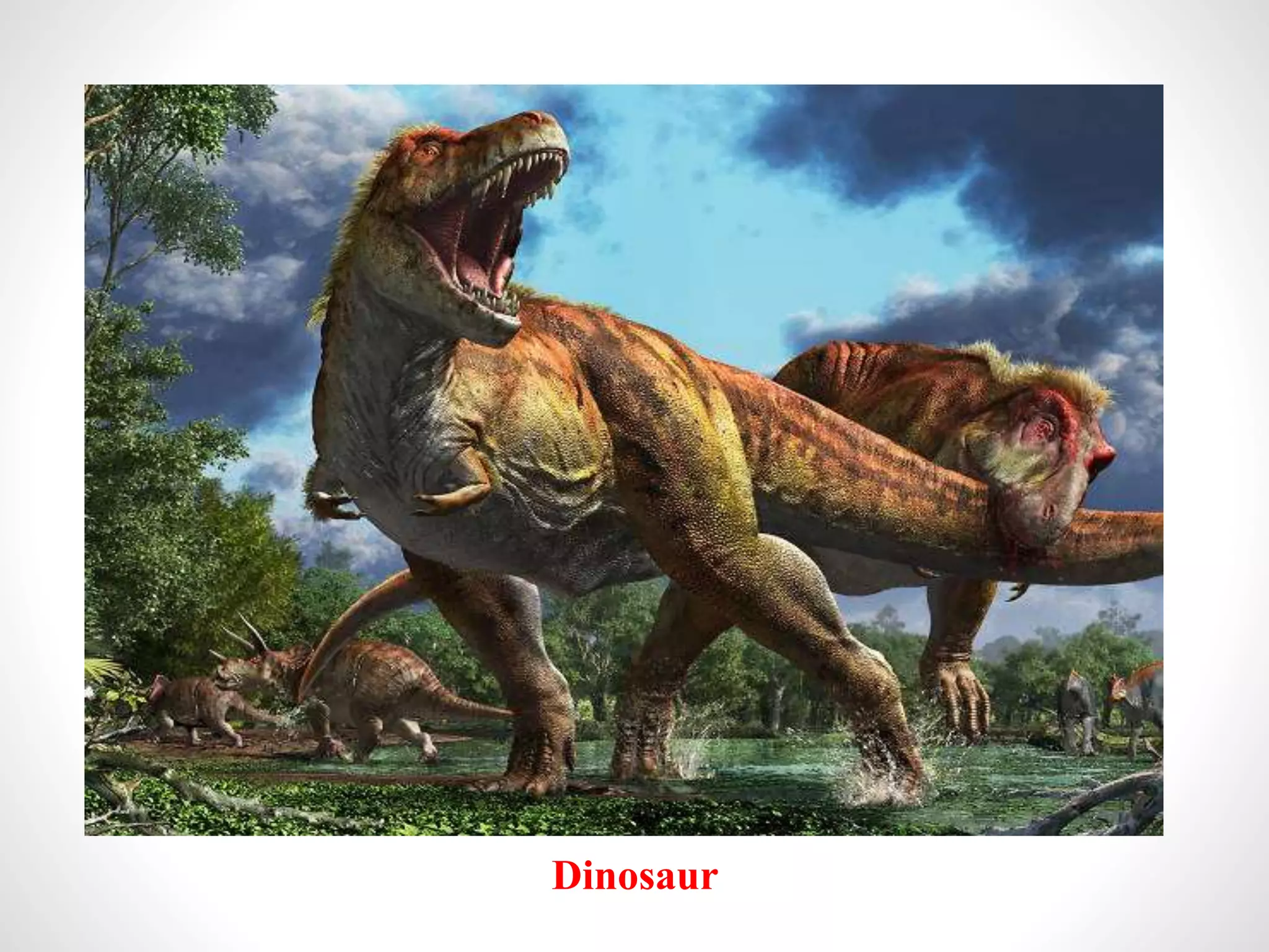 Red list categories | PPTX | Biological Sciences | Science