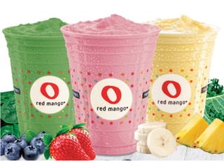 Red Mango Franchise Provider in India | PDF