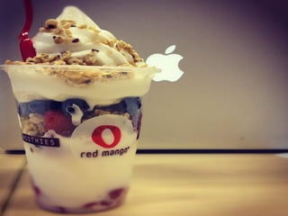 Red Mango Franchise Provider in India | PDF
