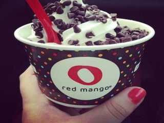 Red Mango Franchise Provider in India | PDF