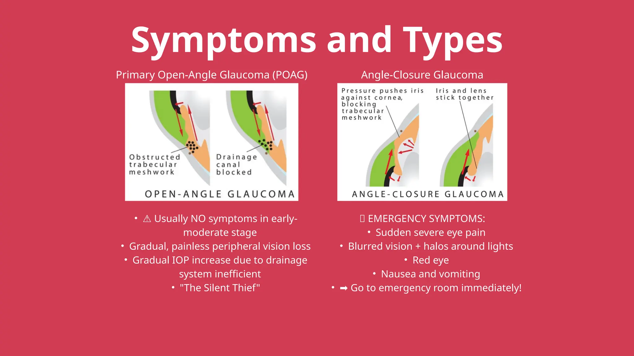 Red Minimalist Healthcare Presentation.pptx