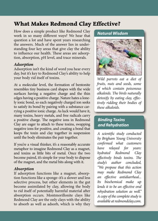 Redmond Clay Booklet | PDF