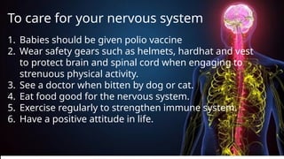The Nervous System of the Human Bodyyyyy | PPTX