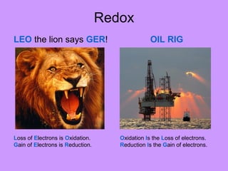 Redox | PPT