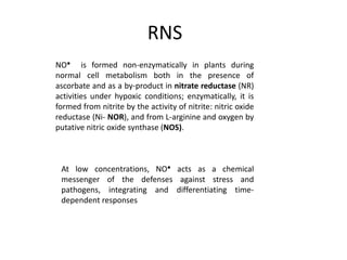 Reactive Oxygen Species | PPTX