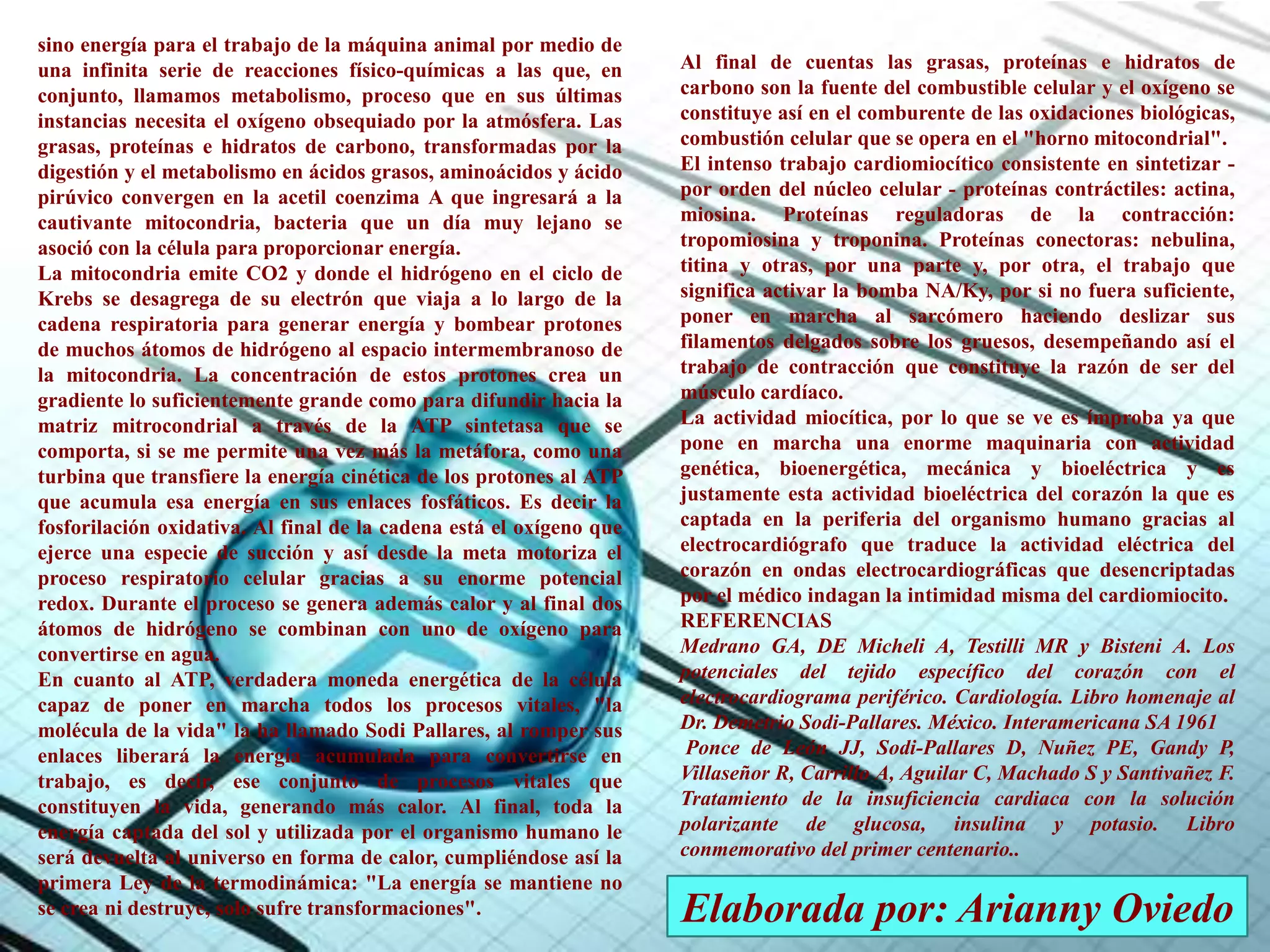 proceso redox , a nuestro alrededor | PPTX